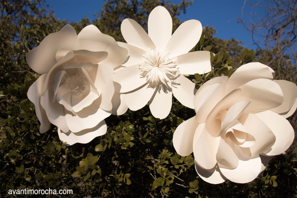 DIY Giant Daisy “How to Make a Giant Flower Backdrop” – Avanti Morocha