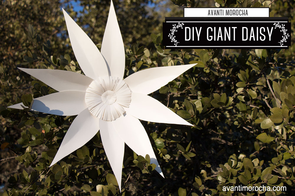 DIY Giant Paper Daisy II – Avanti Morocha
