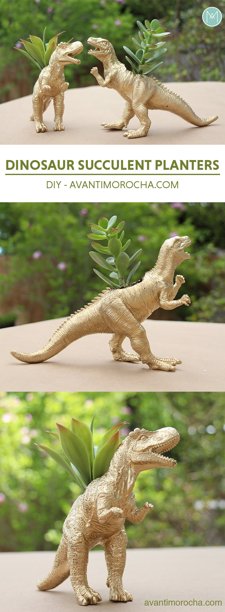 DIY Dinosaur Succulent Planters – Avanti Morocha